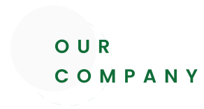 Napesco Group